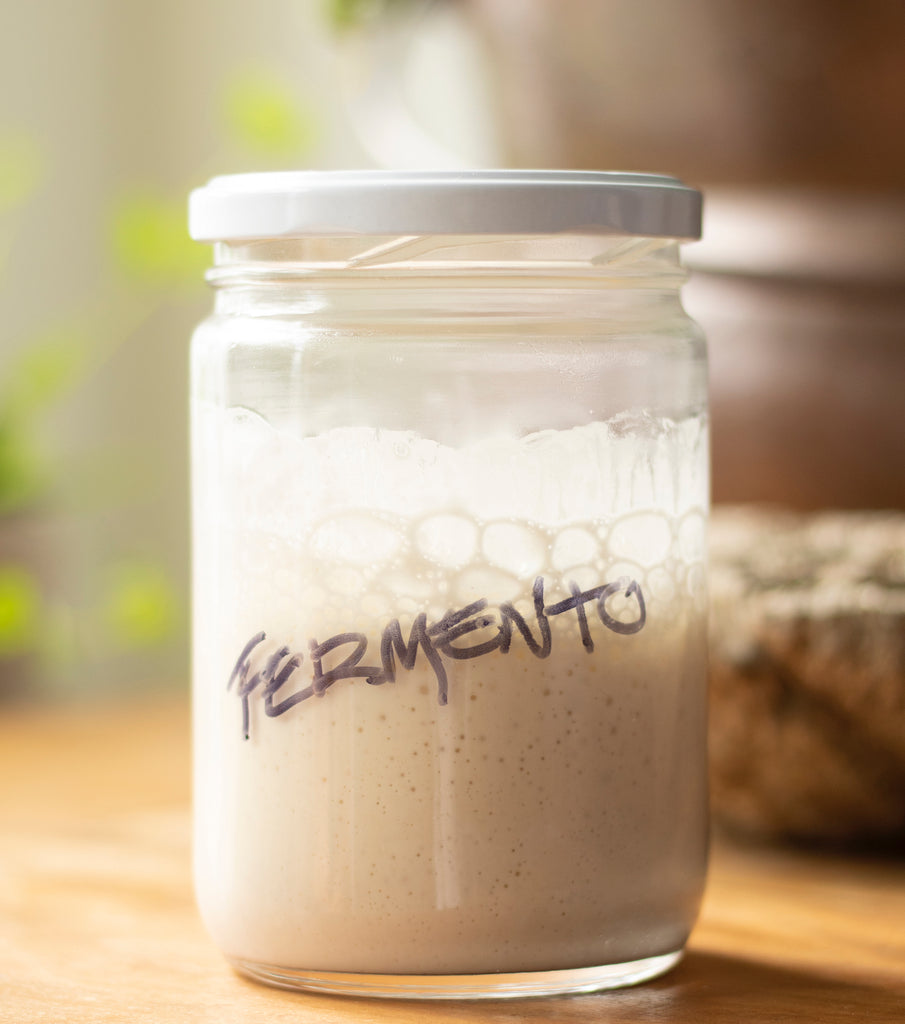 APRENDA A FAZER FERMENTO NATURAL DO ZERO – VegMag